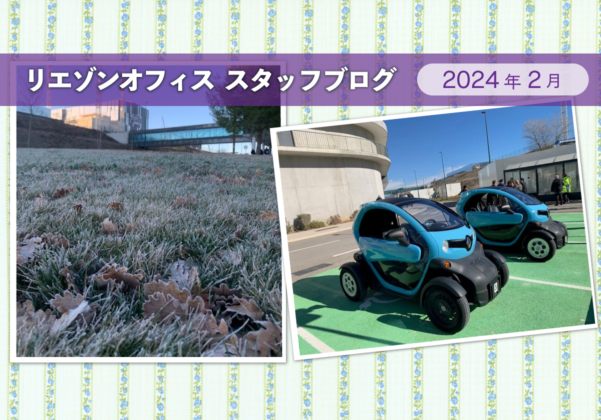 スタッフブログ 2024年2月（柏の葉?、トゥイージー） | 核融合実験炉ITER日本国内機関・QST