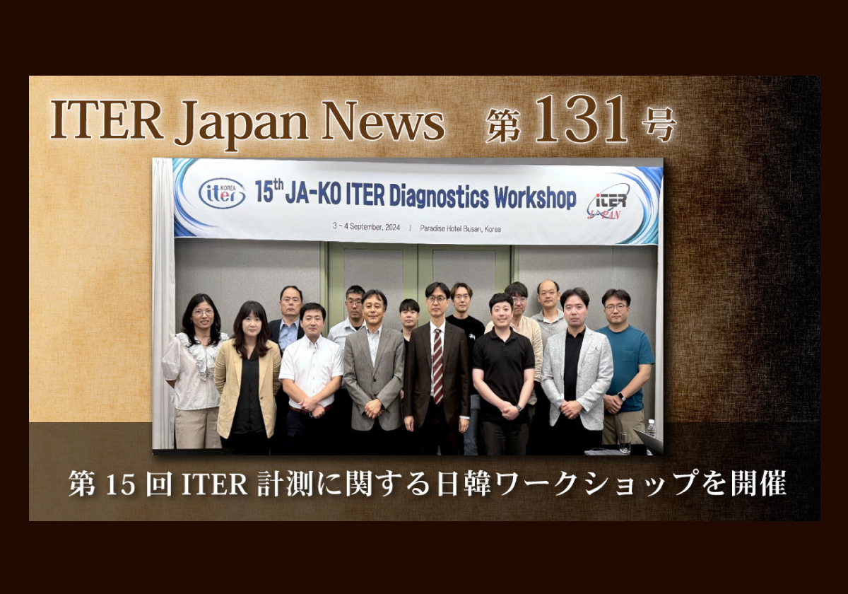 第15回ITER計測に関する日韓ワークショップを開催 | 核融合実験炉ITER日本国内機関・QST